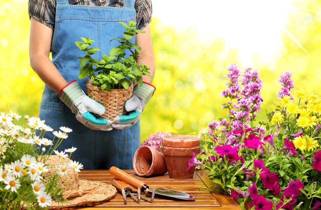 Benefici del giardinaggio: 7 motivi per prendersi cura delle piante ...